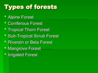 forests.ppt PowerPoint about forests of Pakistan | PPT