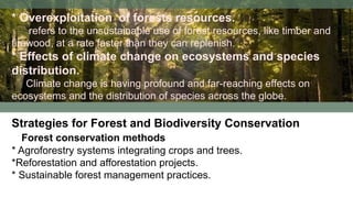 Forests-And-Bioldiversty chapter 4 forests | PPTX