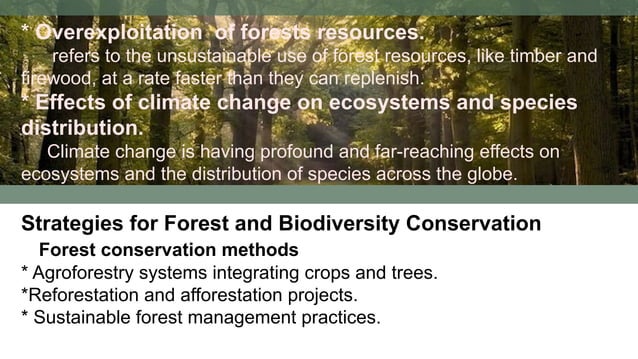 Forests-And-Bioldiversty chapter 4 forests | PPTX