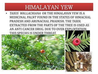 Forests and wildlife resources | PPTX