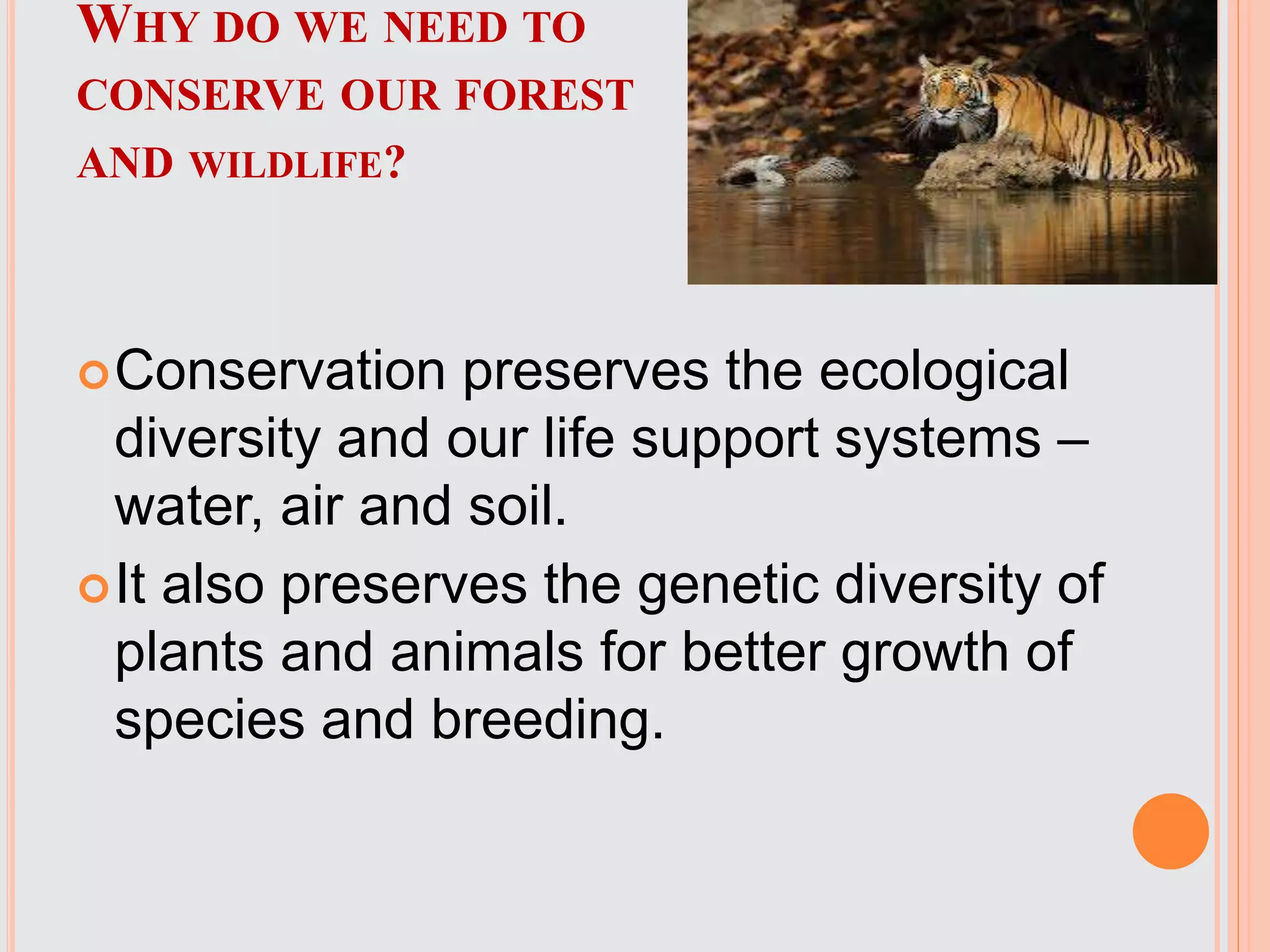 Forests and wildlife resources Class 10 Geography | PPTX