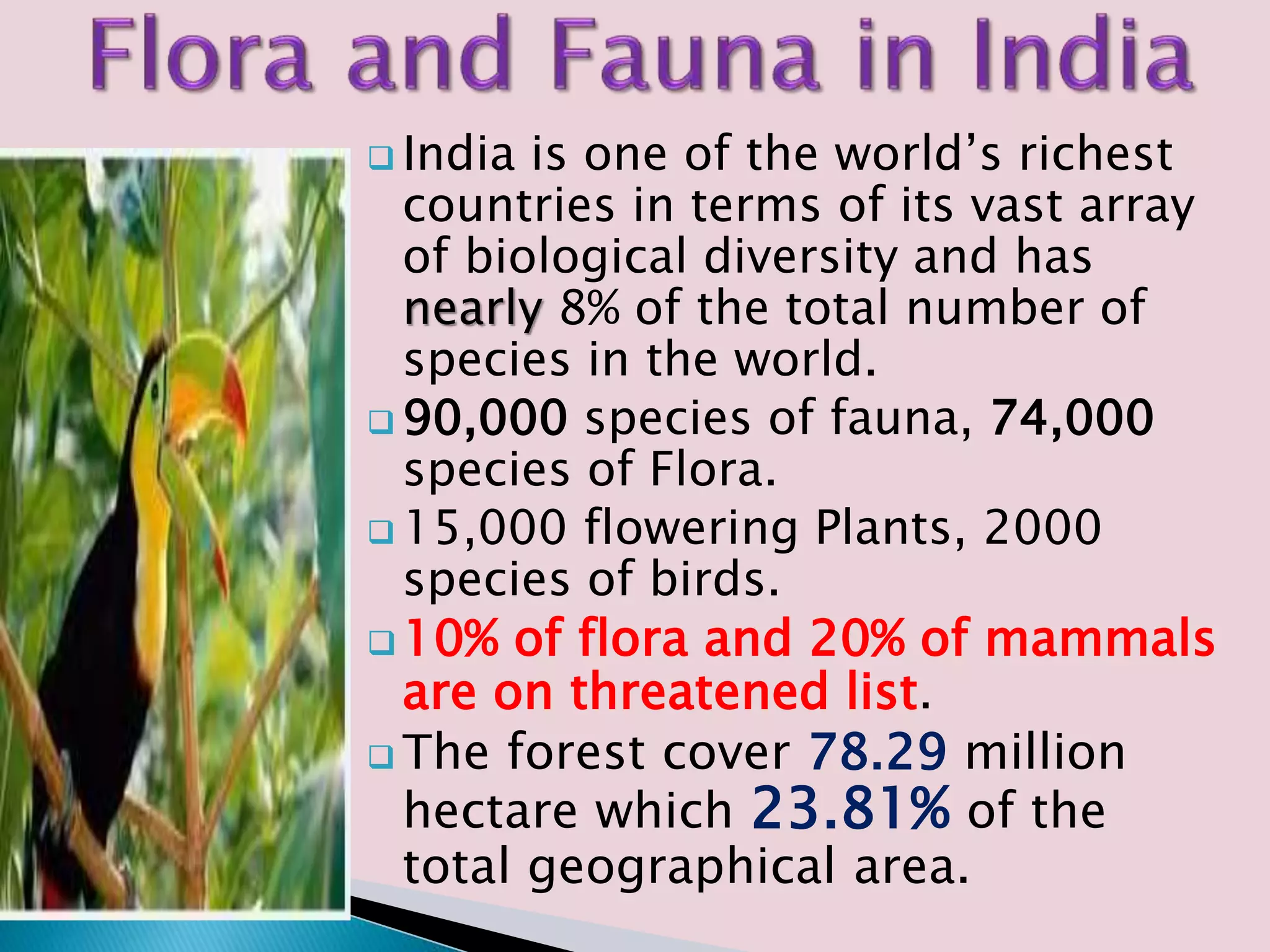 Forests and wildlife resources Class 10 Geography | PPTX