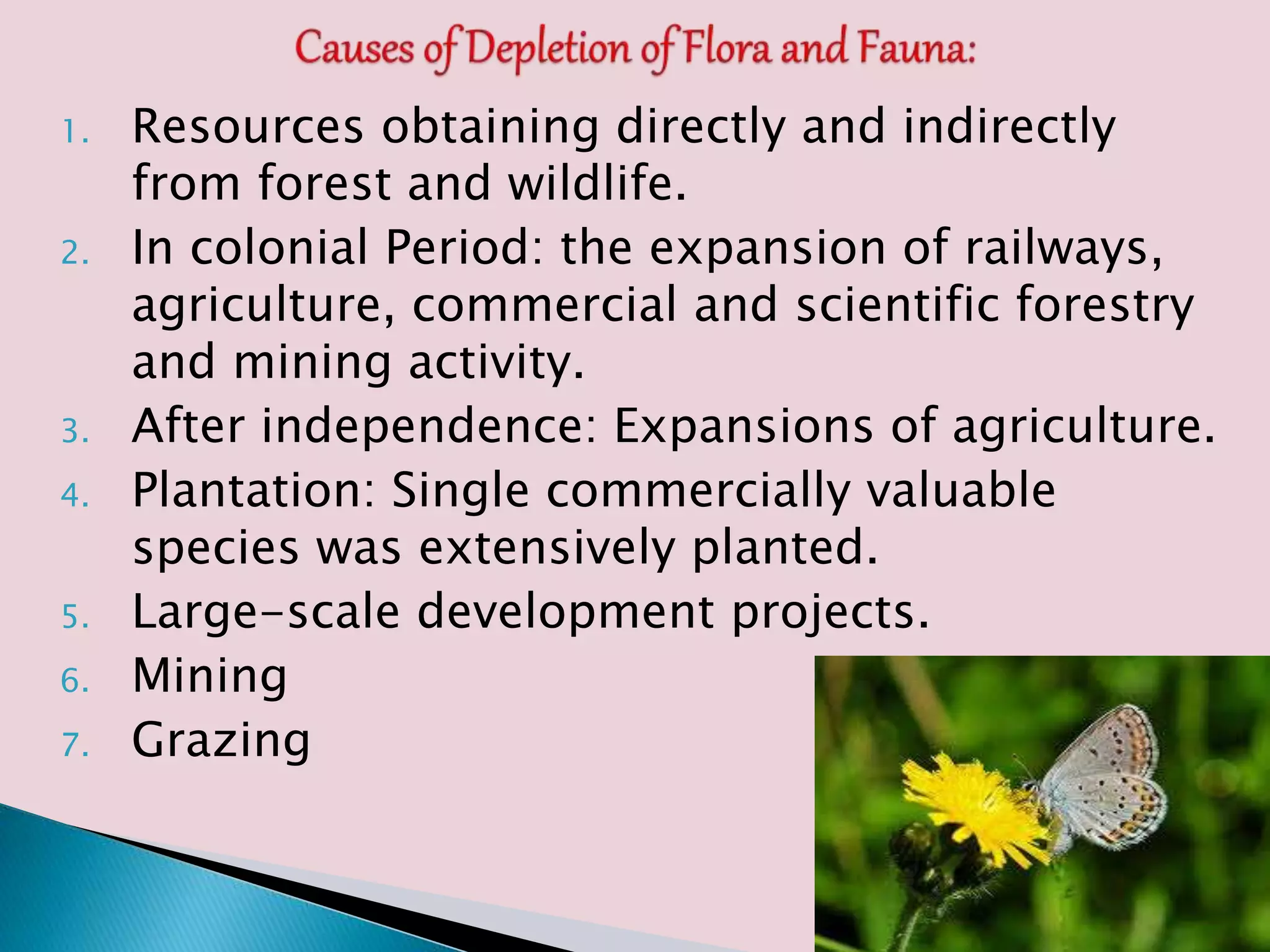 Forests and wildlife resources Class 10 Geography | PPTX