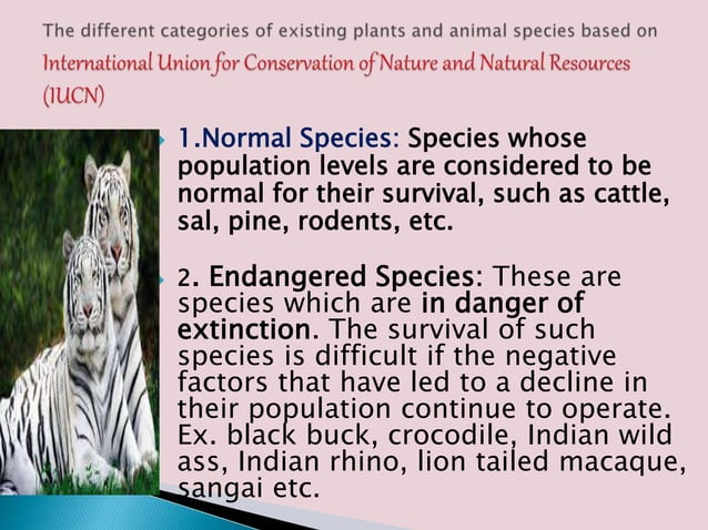 Forests and wildlife resources Class 10 Geography | PPTX | Birdwatching ...