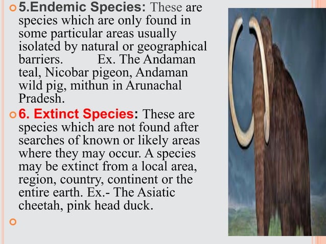 Forests and wildlife resources Class 10 Geography | PPTX | Birdwatching ...