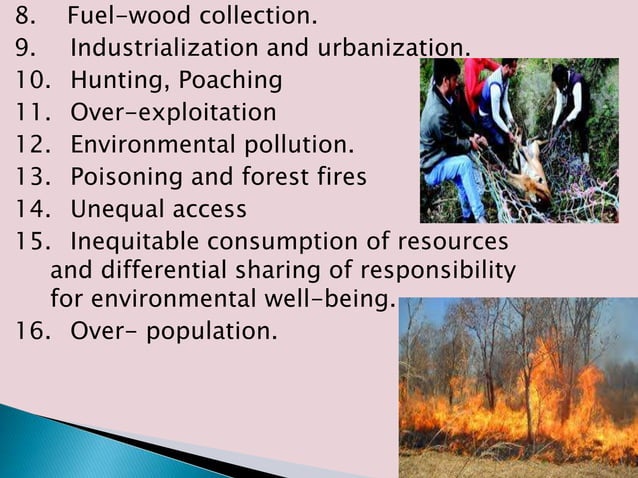 Forests and wildlife resources Class 10 Geography | PPTX | Birdwatching ...