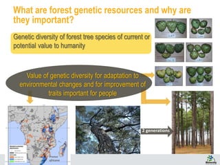 Global Plan of Action for conservation, sustainable use and development ...