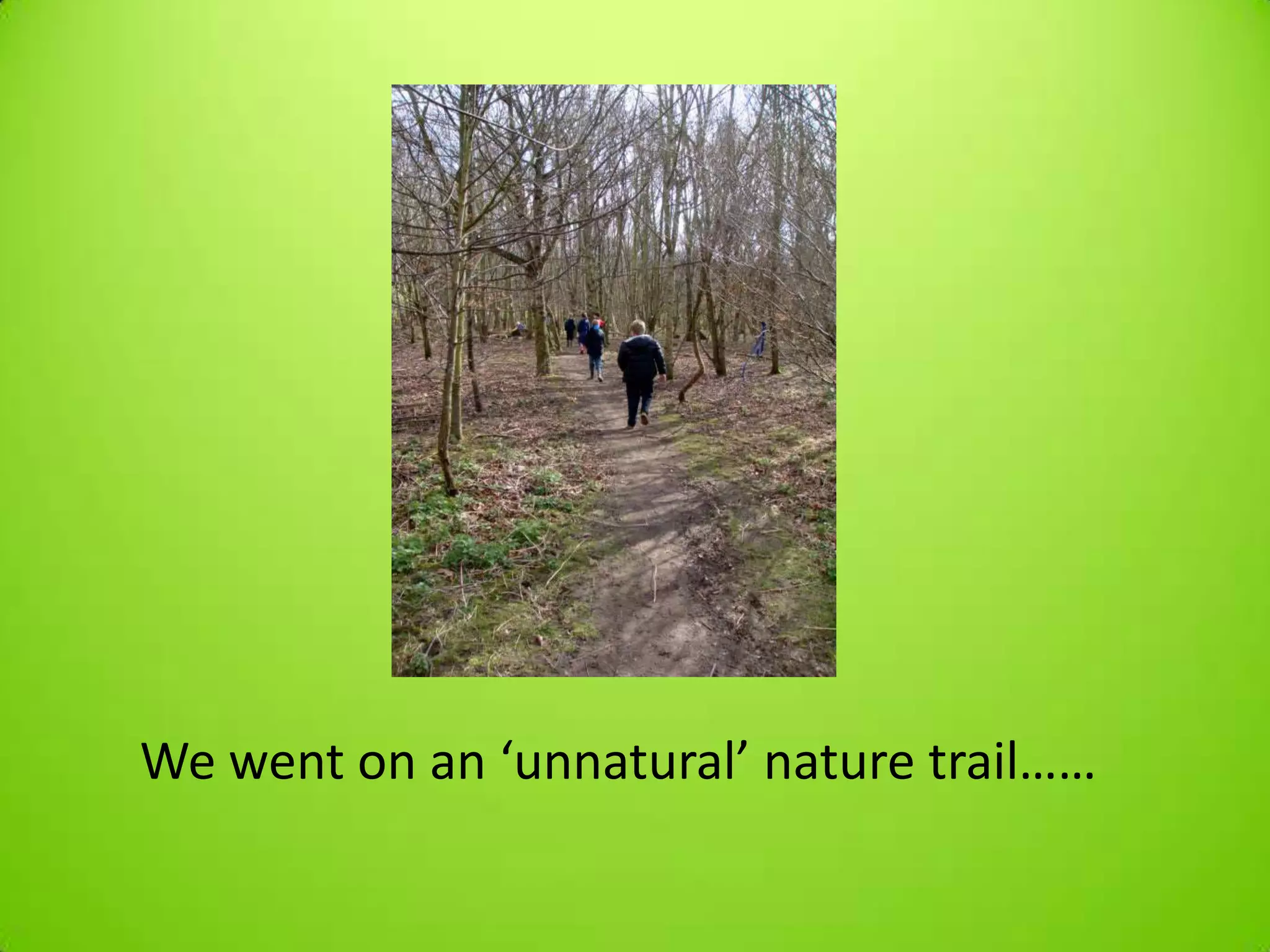 Forest school unnatural trail | PPT