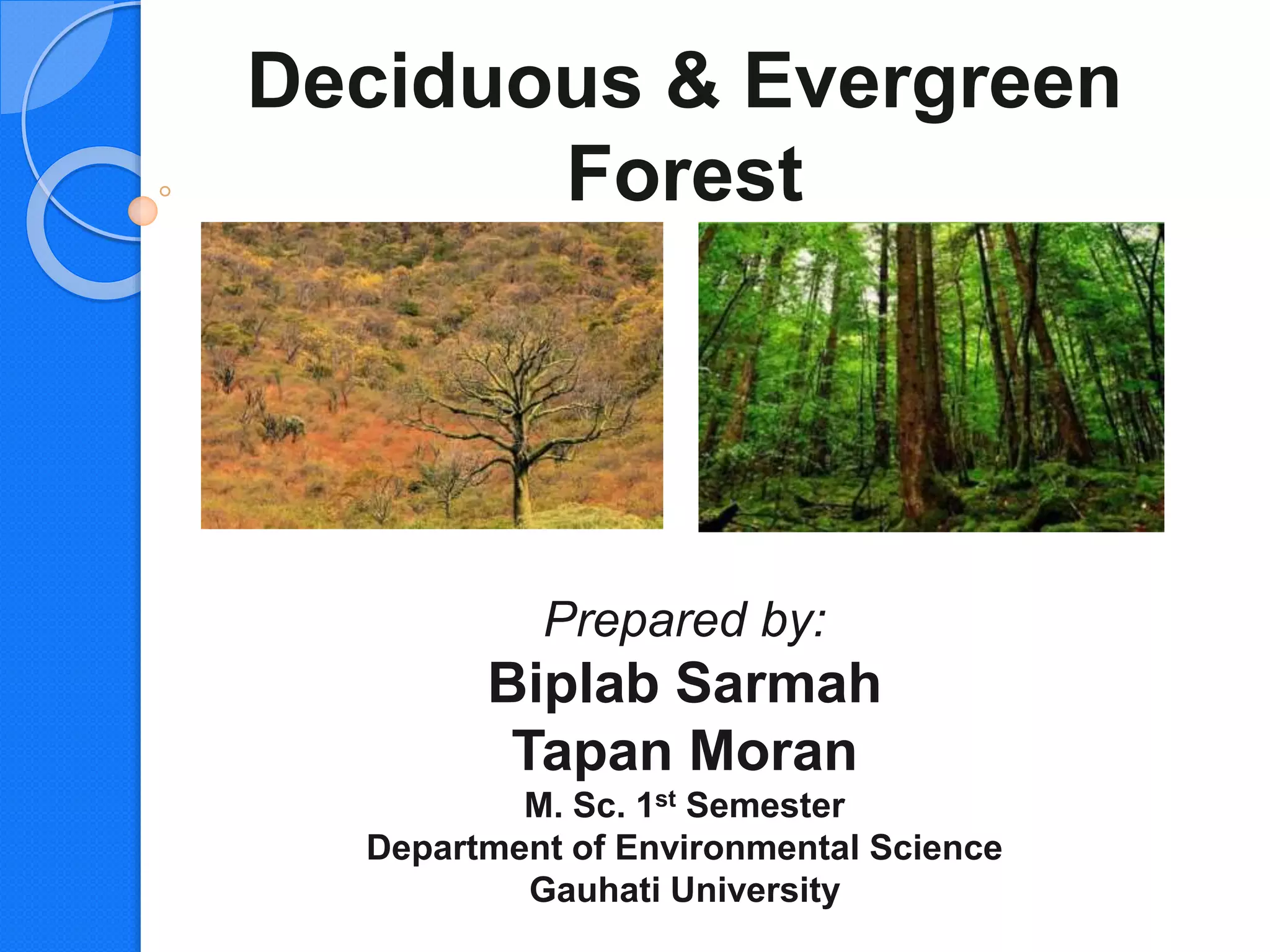 Forests deciduous evergreen | PPTX