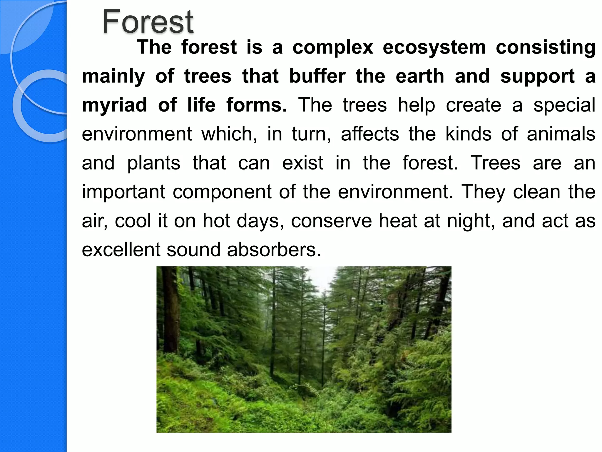 Forests deciduous evergreen | PPTX