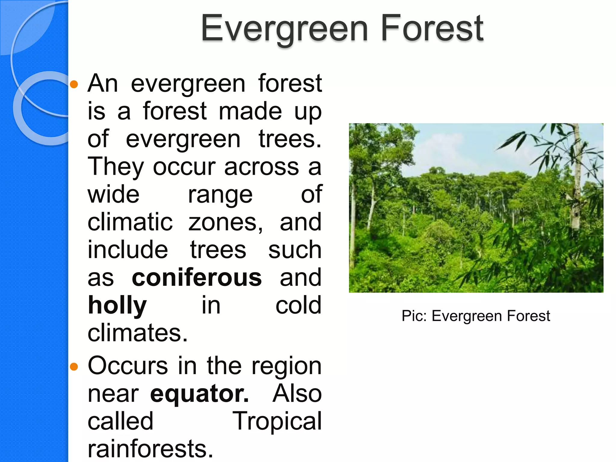 Forests deciduous evergreen | PPTX