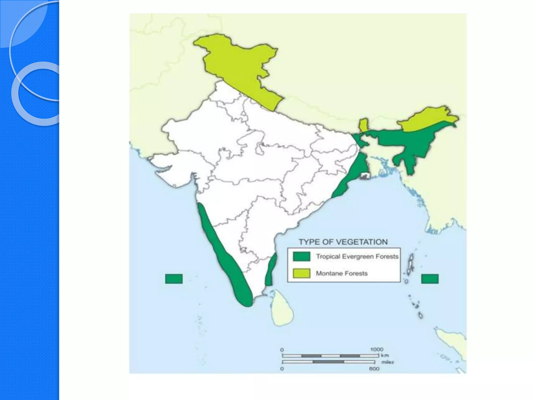 Forests deciduous evergreen | PPTX