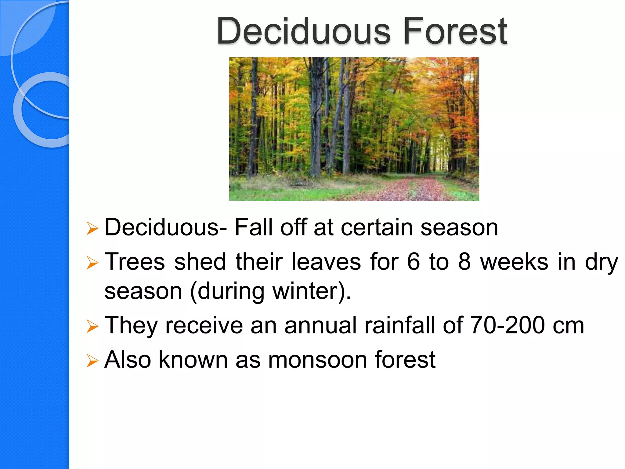 Forests deciduous evergreen | PPTX