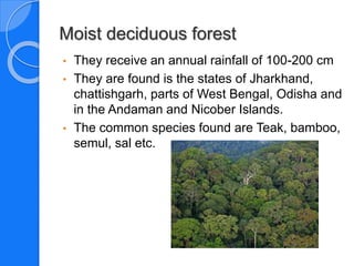 Forests deciduous evergreen | PPTX