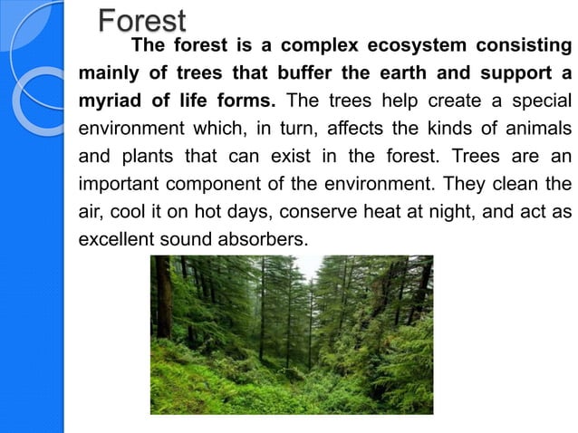 Forests deciduous evergreen | PPTX