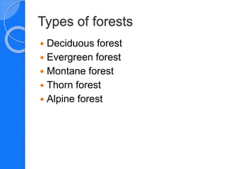 Forests deciduous evergreen | PPTX