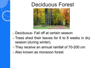 Forests deciduous evergreen | PPTX