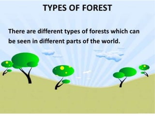 FORESTS edited.pptx