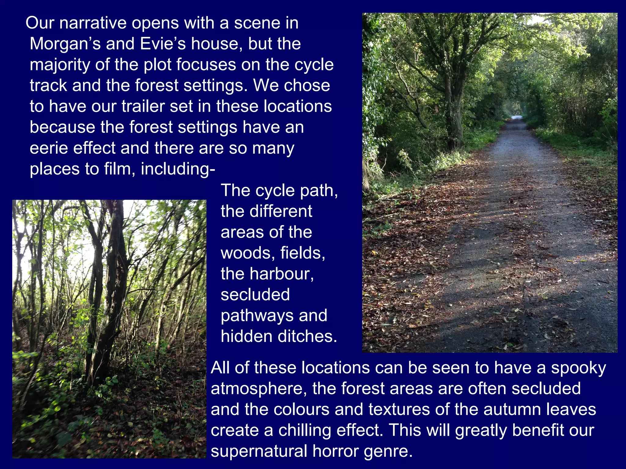 Forest settings | PPT