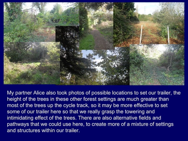 Forest settings | PPT