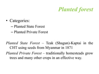 Forests in bangladesh and their conservation | PPTX