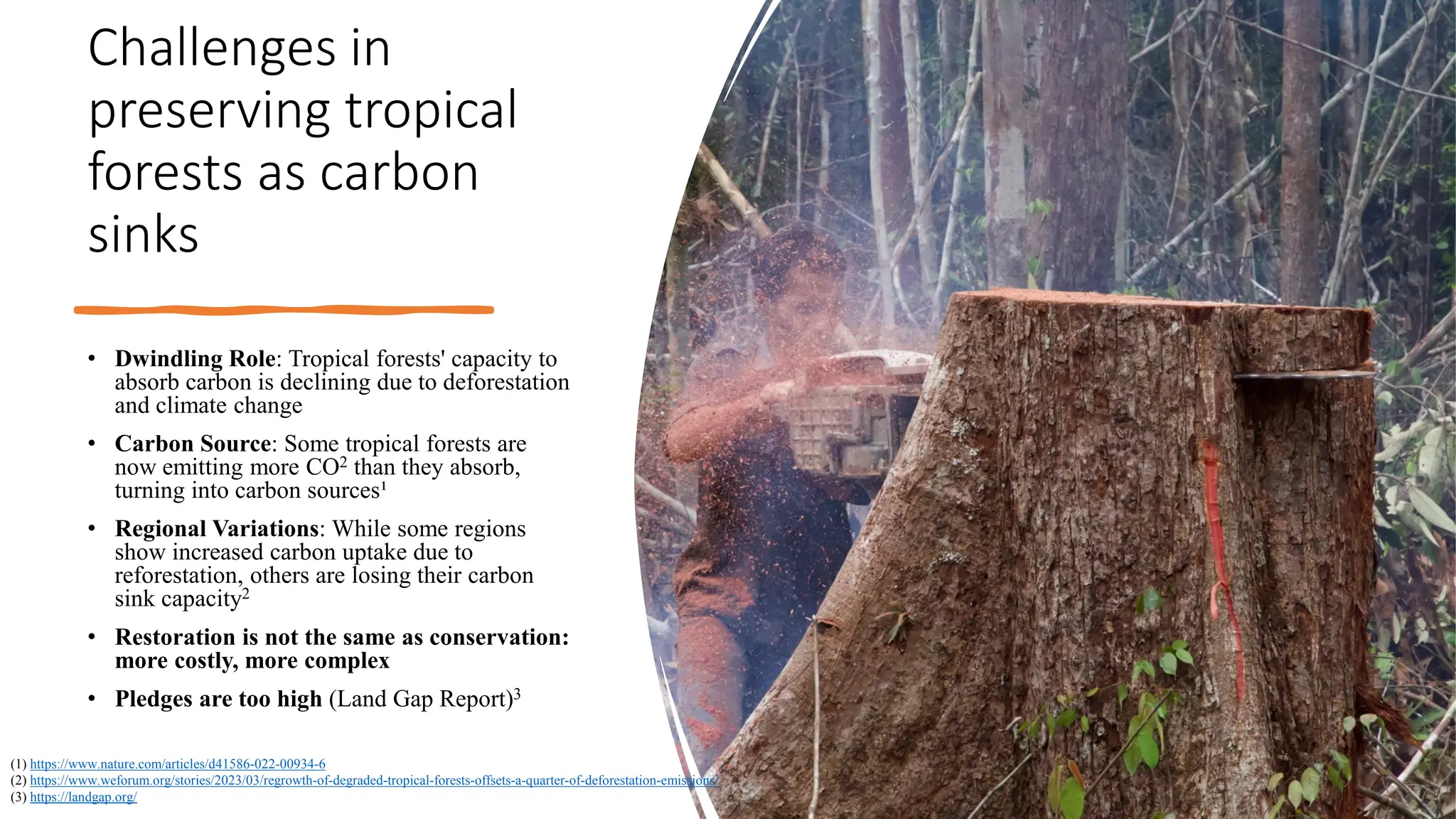 The Role and Importance of Tropical Carbon Sinks in the Context of ...