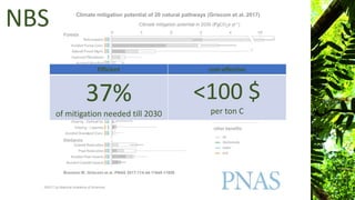 The Role and Importance of Tropical Carbon Sinks in the Context of ...