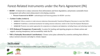 The Role and Importance of Tropical Carbon Sinks in the Context of ...