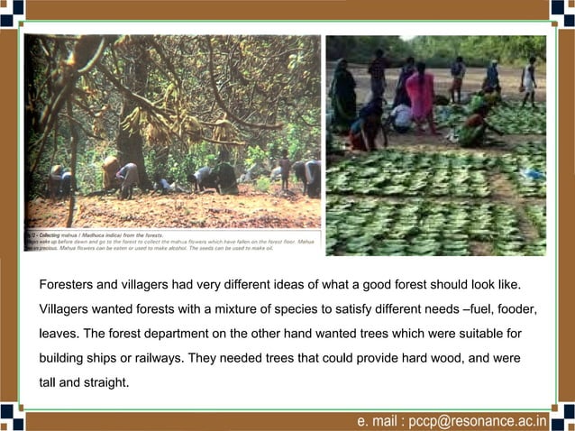 Forest society & Colonialism | PPSX