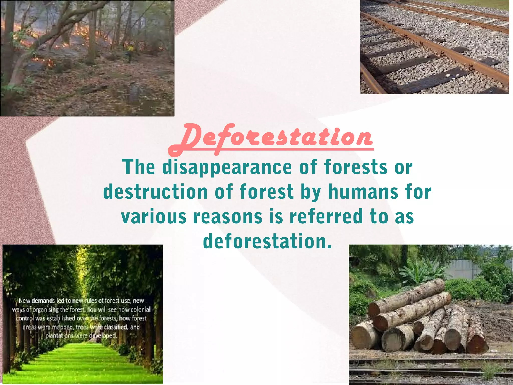 Forest society and colnialsm | ODP