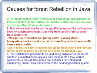 Forest society and colnialsm | PPT
