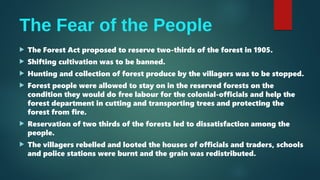 Forest society and colonialism | PDF