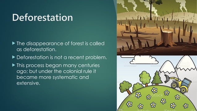 Forest society and colonialism | PDF | Woodworking | Arts and Crafts