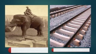 Forest society and colonialism | PDF