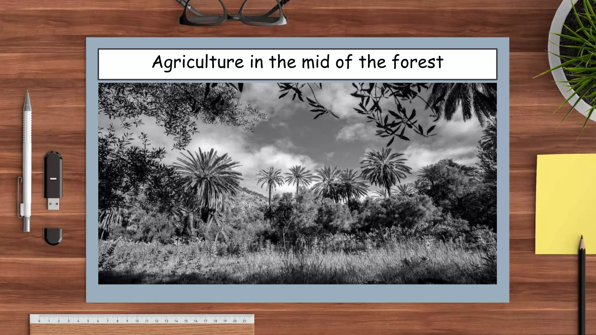 CBSE class 9 Forest society and colonialism | PPTX