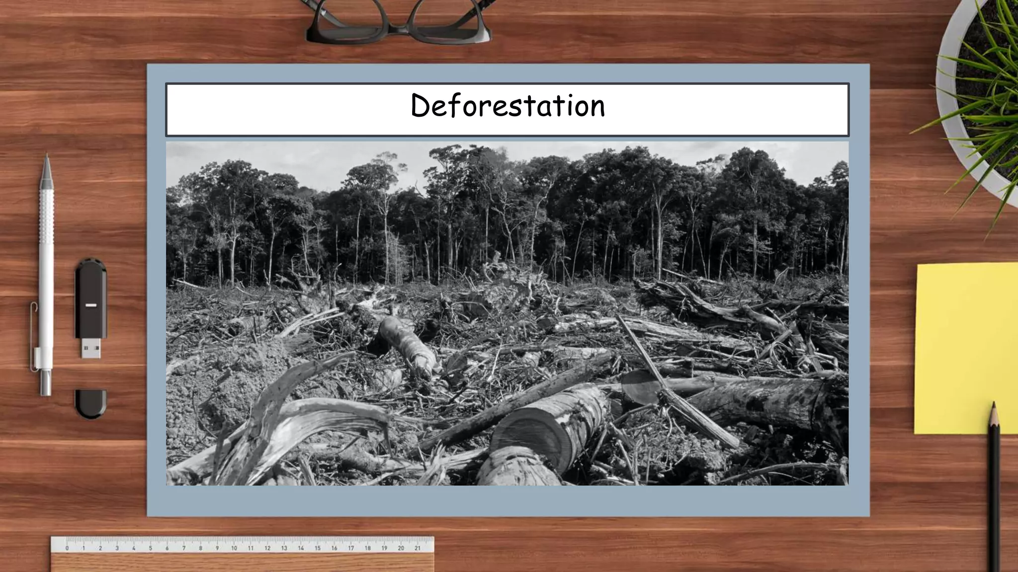 CBSE class 9 Forest society and colonialism | PPTX
