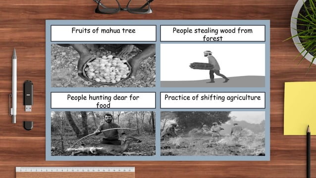 CBSE class 9 Forest society and colonialism | PPTX | Woodworking | Arts ...