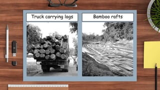 CBSE class 9 Forest society and colonialism | PPTX