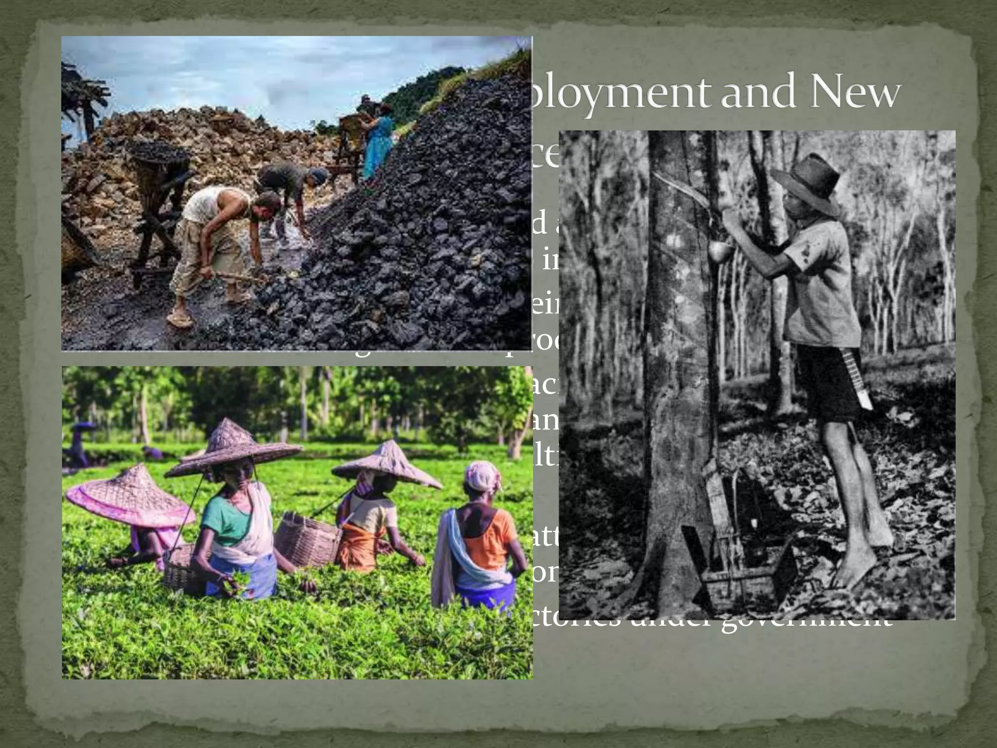 Forest Society And Colonialism.pptx