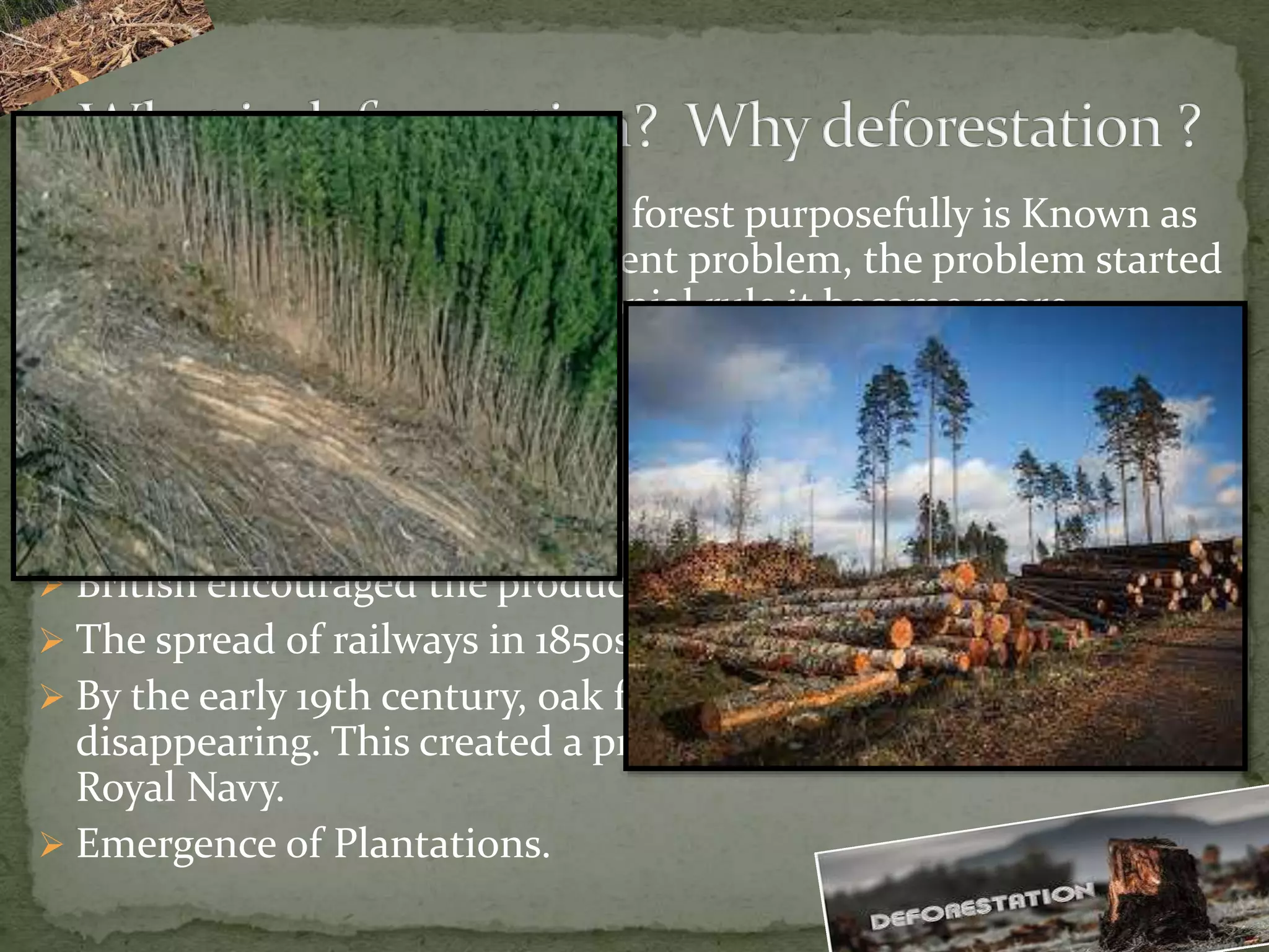 Forest Society And Colonialism.pptx