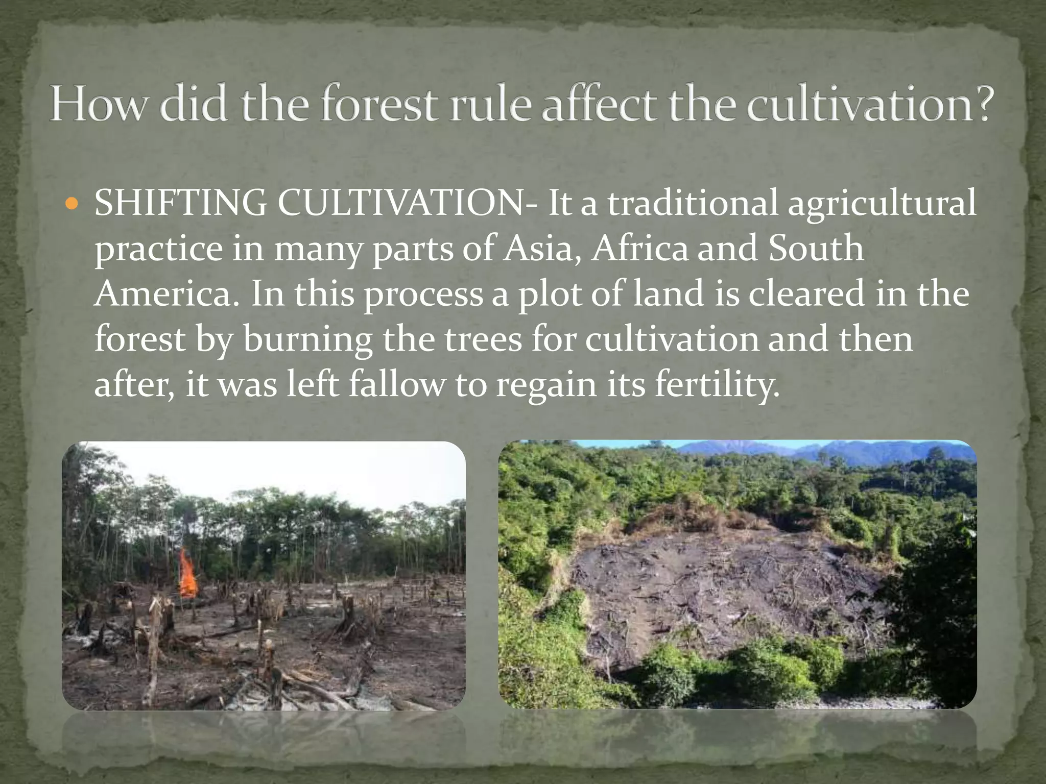 Forest Society And Colonialism.pptx