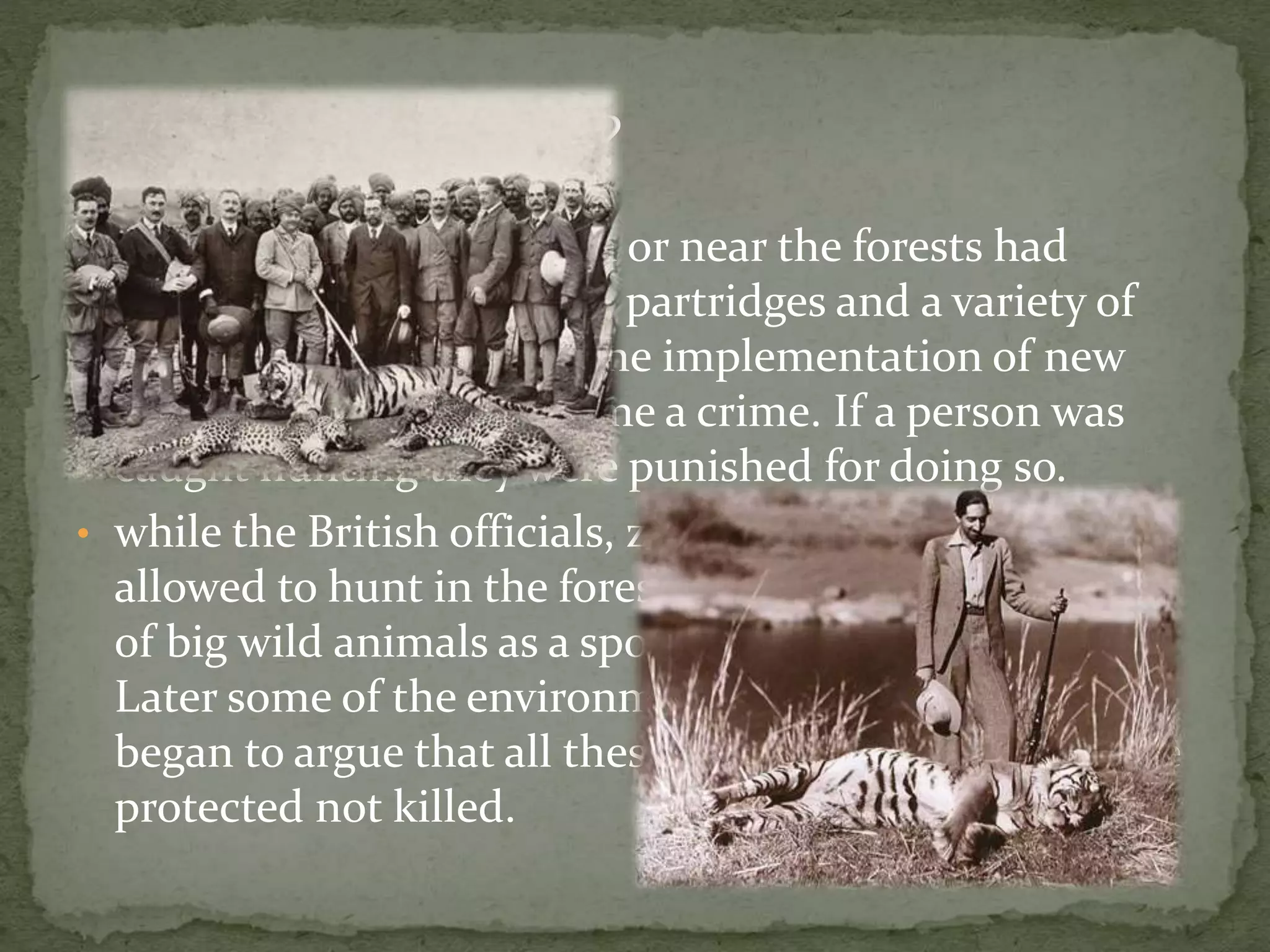 Forest Society And Colonialism.pptx