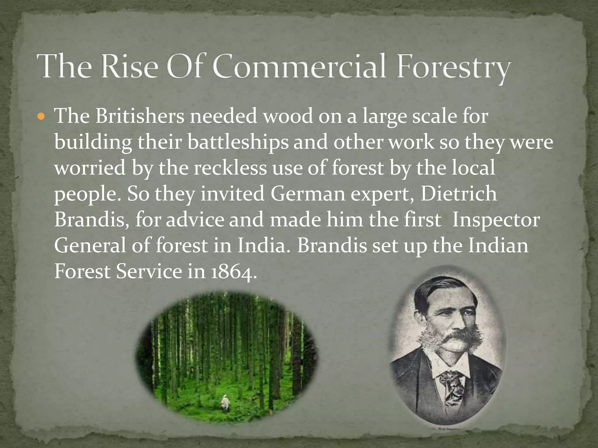 Forest Society And Colonialism.pptx