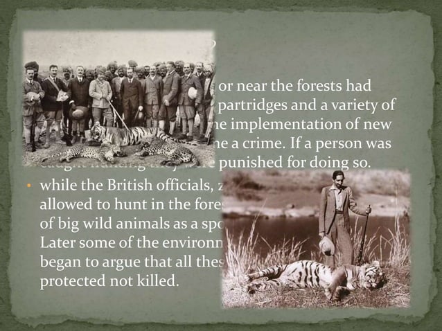 Forest Society And Colonialism.pptx