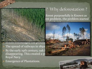 Forest Society And Colonialism.pptx