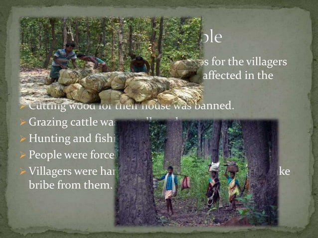 Forest Society And Colonialism.pptx