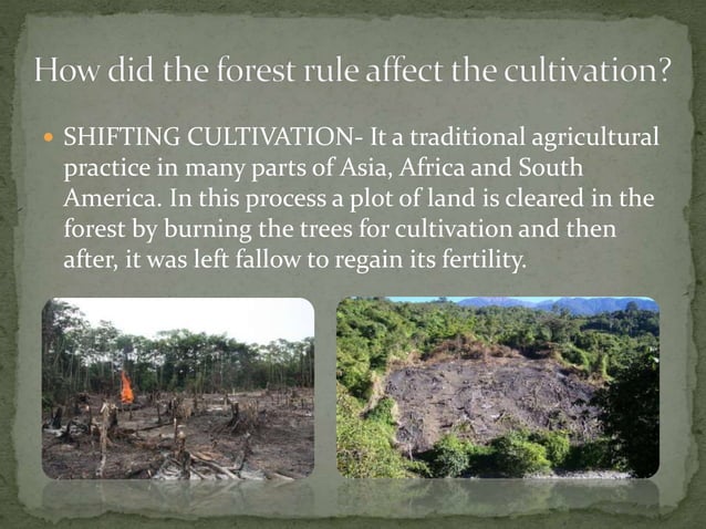 Forest Society And Colonialism.pptx