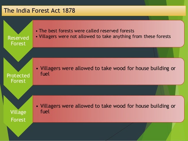 Forest society and colonialism