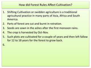 Forest society and colonialism 2 | PPTX