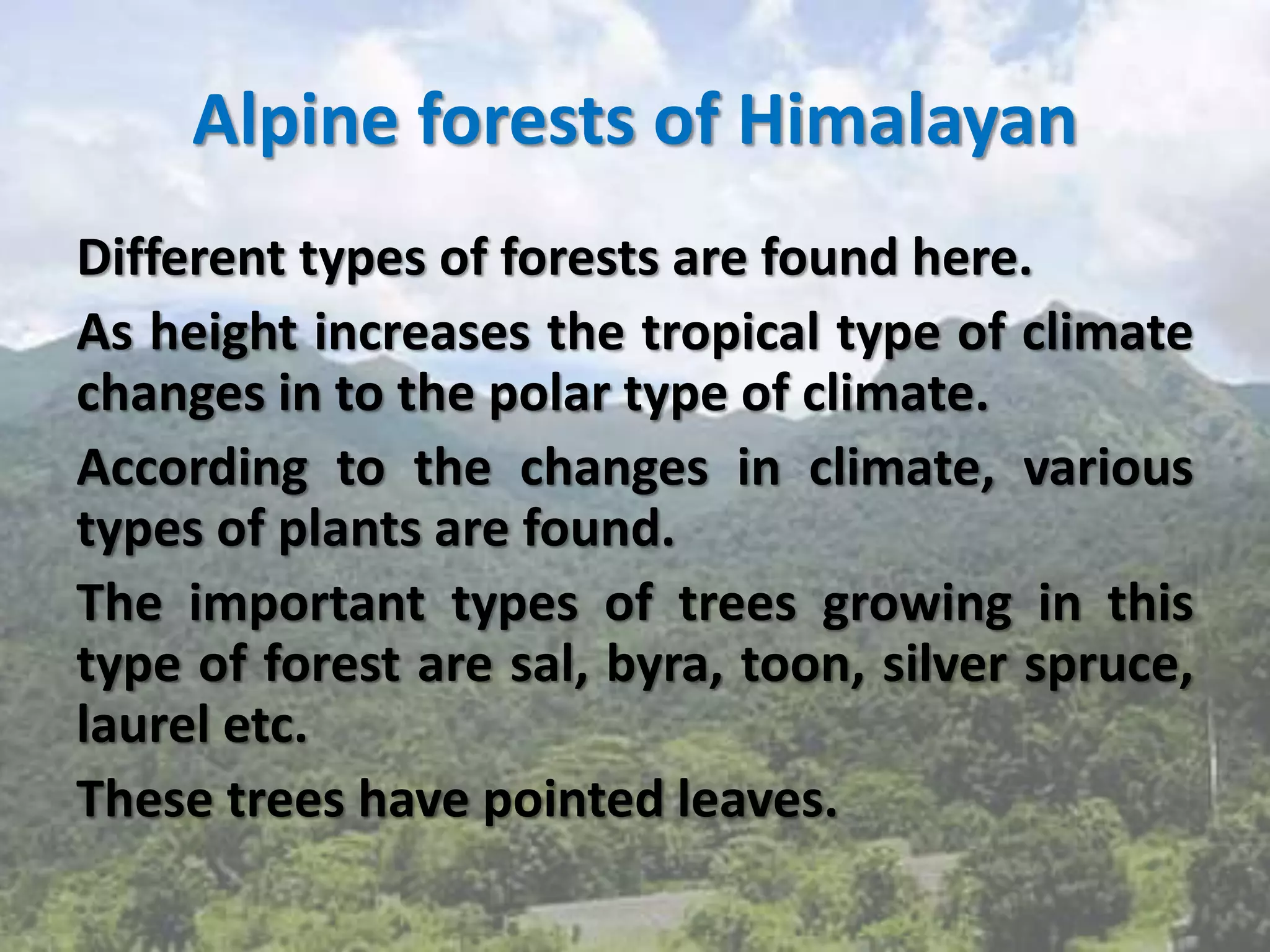Forests of India | PPTX